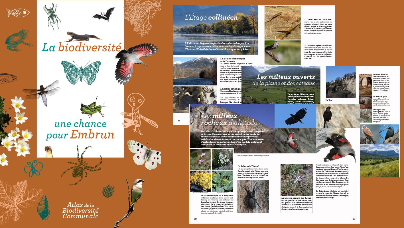 Biodiversité communale